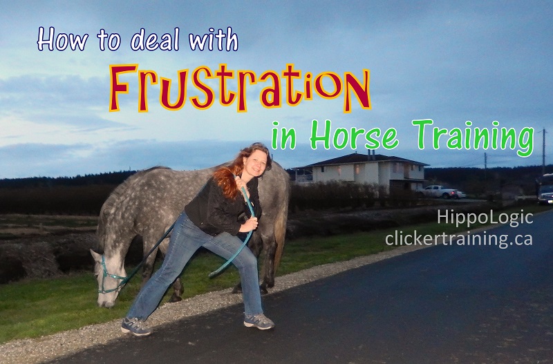 Emotions in Horse Training – HippoLogic Clicker Training