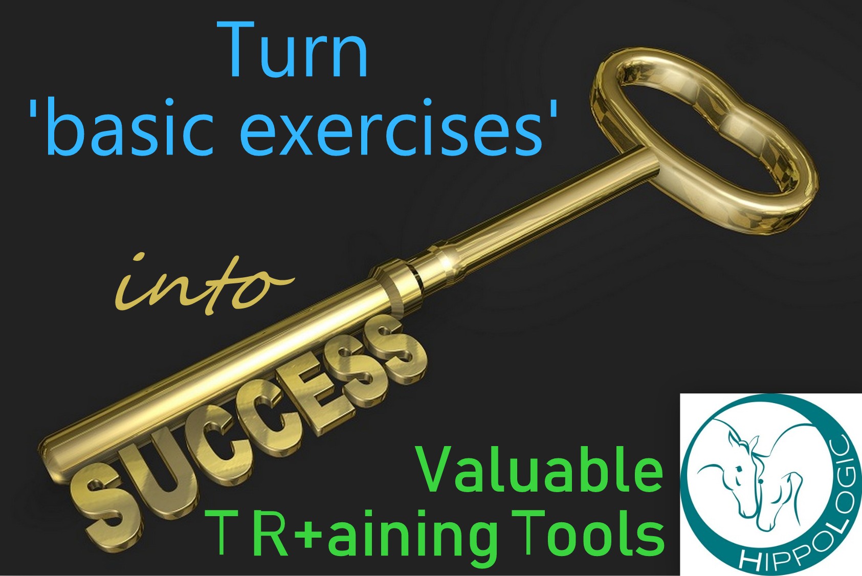 Benefits of Key Lessons in Clicker Training (3/3) – HippoLogic Clicker ...
