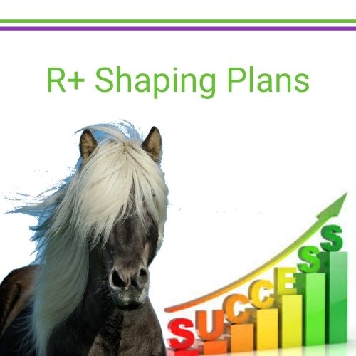 Write Your Own Shaping Plan (recordings of online workshops ...