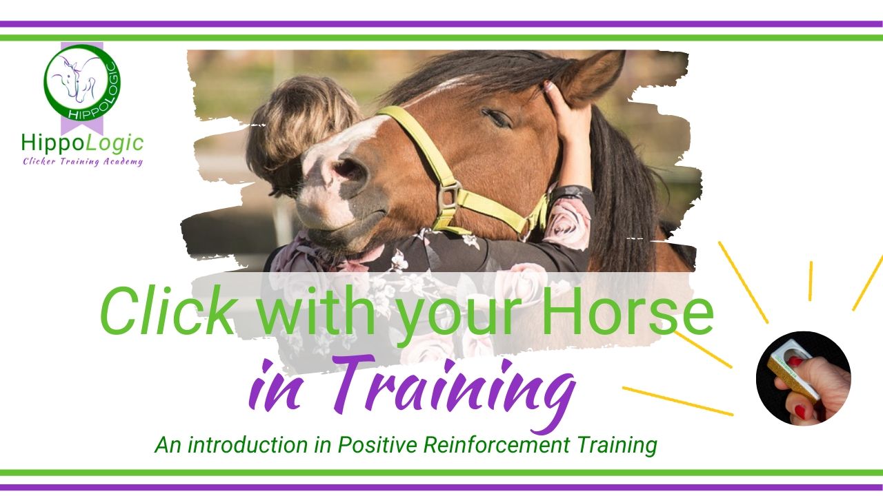 Click With Your Horse, Introduction in Positive Reinforcement training ...