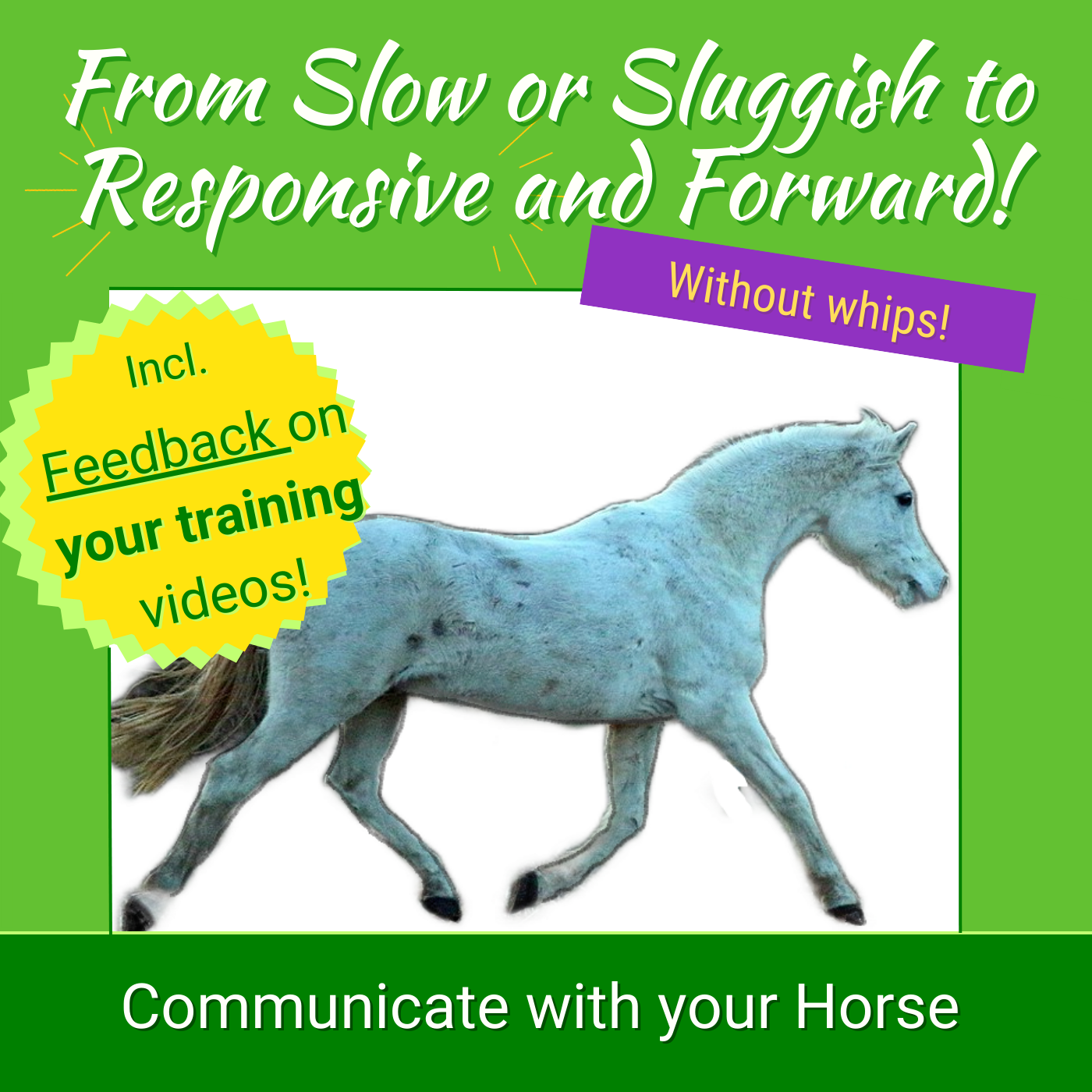 HippoLogic Clicker Training Academy – Hippologic Clicker Training ...